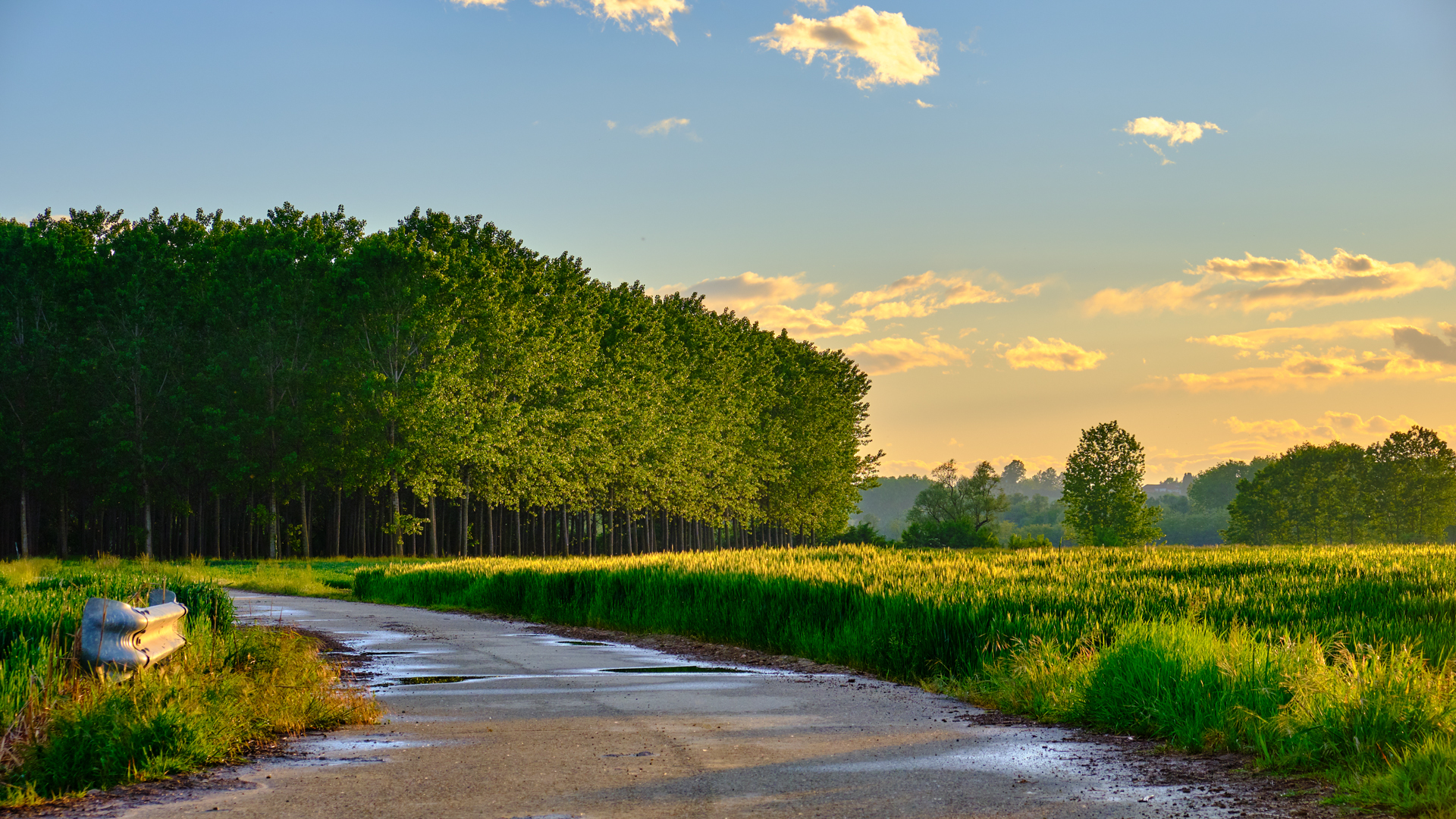 Tra i campi, in primavera – Stefano Bosia